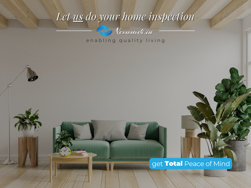 Professional Home Inspection, RWA Services & Dampness Inspections | Nemmadi